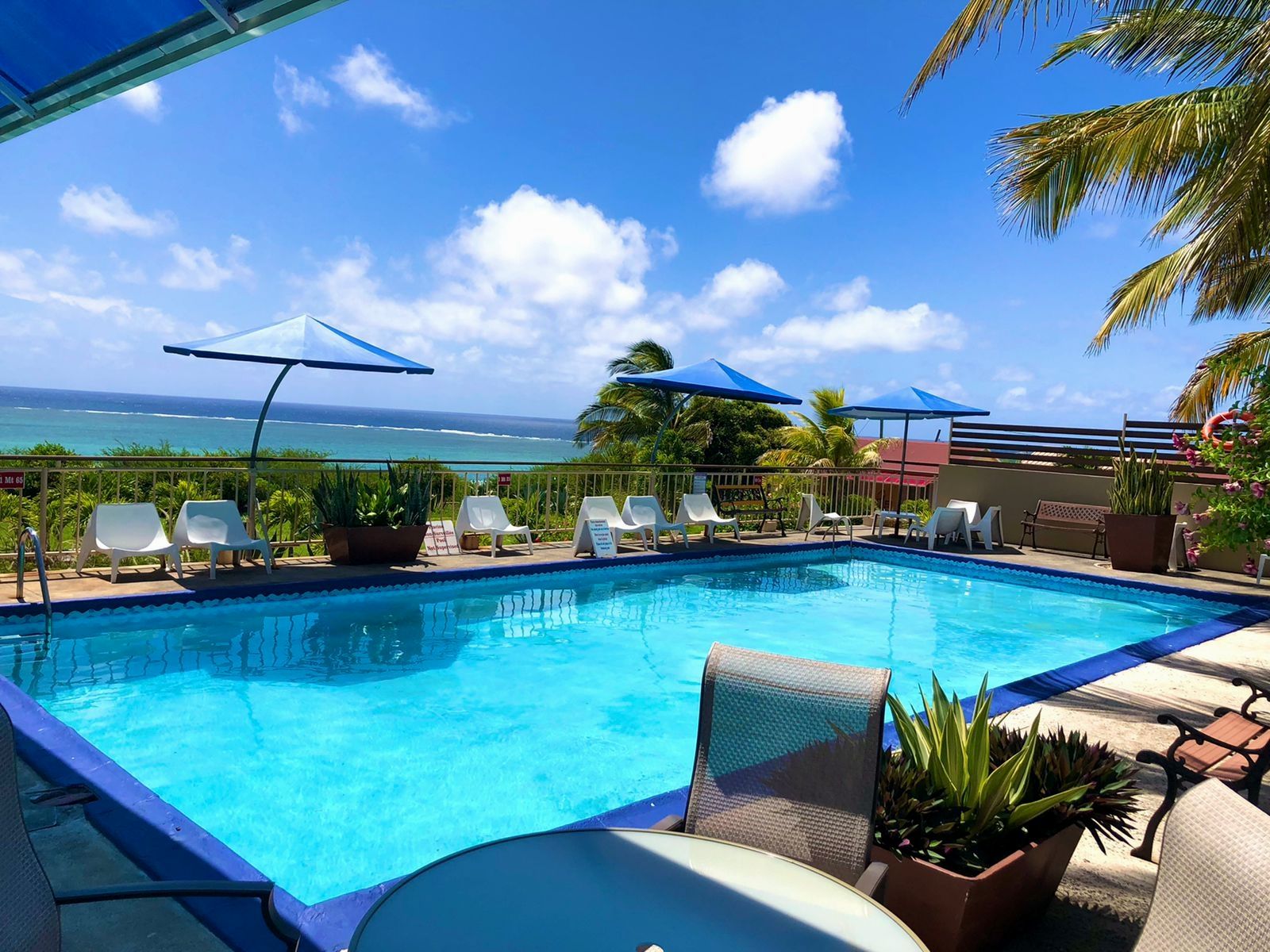 Kono Kono En | Discovery Rodrigues